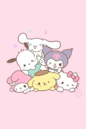 SANRIO - Kpop Exchange Collection